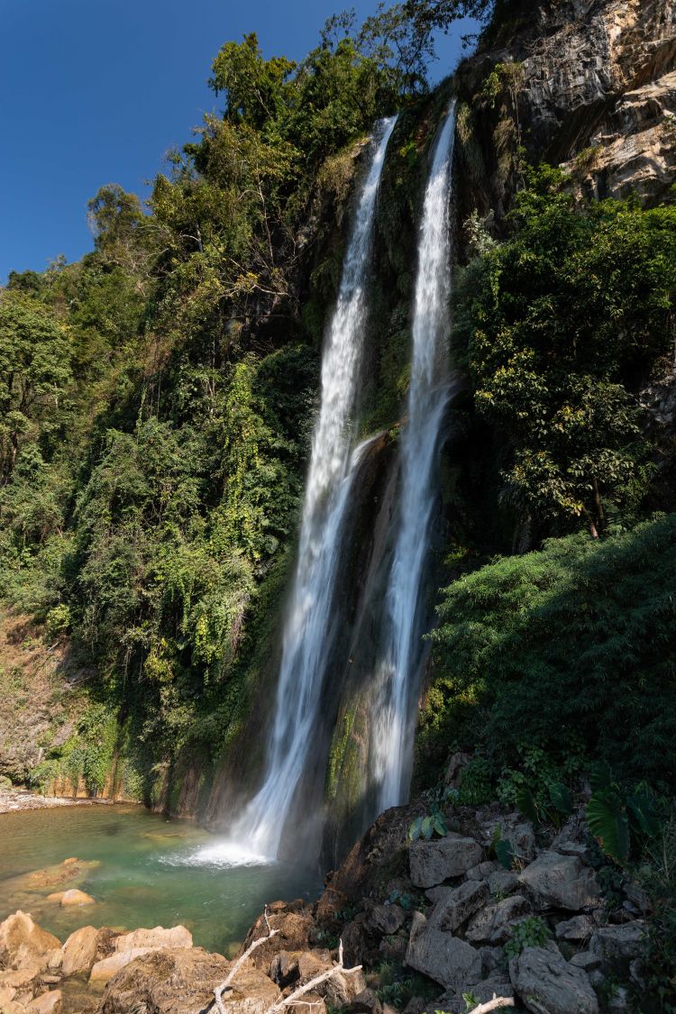 Like water for tigers